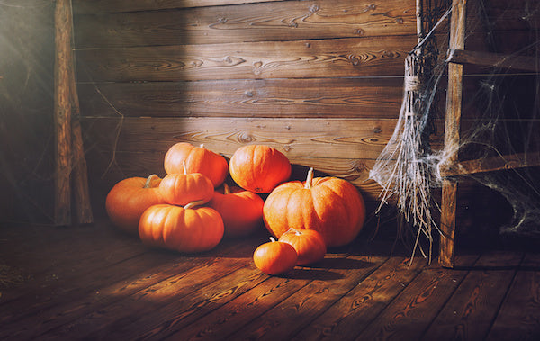 First day of fall must-haves – Nightmare Toys